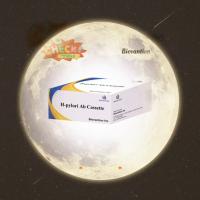 China H. Pylori Ab Rapid Test Cassette Serum Immunochromatographic Detection for sale