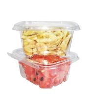 China China Supplier Tamper-Resistant Clear Hinged Container with Flat Lid for sale