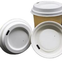 China Paper Water Cups 90mm Disposable Bagasse Cup with Lids for Sale for sale