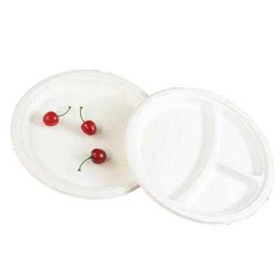 China Biodegradable Sugarcane Pulp Tray 3 Compartment Disposable Tableware for Snacks Candies Hamburgers Cookies Pet Food Milk for sale