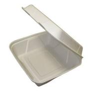 China Wholesale Compostable 9inch Take Out Disposable PLA Foam Box for Food for sale