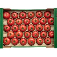 China Round Fruits Cavity Moulded Paper  Packaging Tray Liner for Apple Orange Avocado for sale