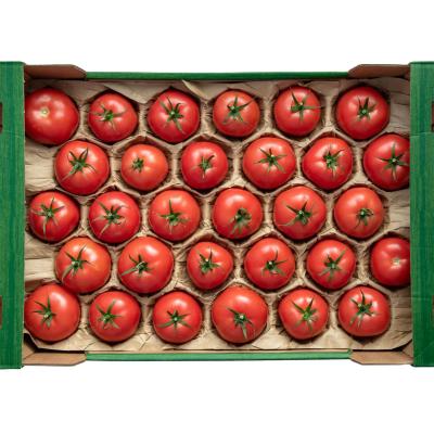 China Round Fruits Cavity Moulded Paper  Packaging Tray Liner for Apple Orange Avocado for sale