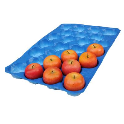 China Persimmon Tray,Square Holes,popular in Israel, South Africa for sale