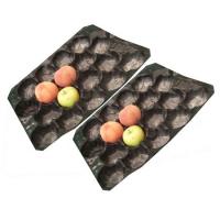 China Disposable Fruit Packaging Tray Box Inserts Packaging for apple Peach Pear Tomato and Other Fruit Insert Tray for sale