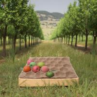 China Wholesales Customized Disposable Apple Fruit Kraft Paper Packing Protective Inserts Tray Alveoli for sale