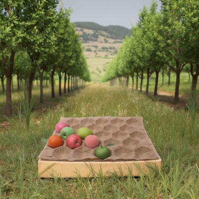 China Wholesales Customized Disposable Apple Fruit Kraft Paper Packing Protective Inserts Tray Alveoli for sale