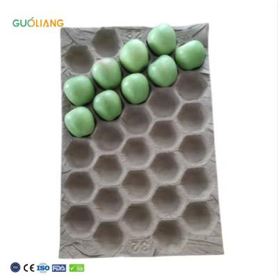 China Eco-friendly Fruits &Vegetable Packing Alveoli Mango Packaging Insert Liners Fruit Packaging Insert Papaper  Tray for sale