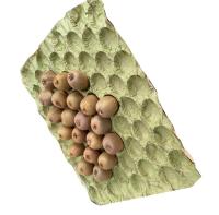 China Kiwi Paper Moulded Pulp Trays Disposable Fruit Packaging Tray Liners Supplier for sale