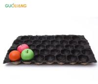 China Biodegradable Round Fruit Paper Cavity Tray Liner Protection During Transport Empaque Para Frutas Alveolos for sale