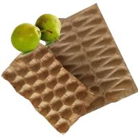 China Customized Kraft Paper Moulded Pulp Trays Disposable Fruit Packaging Tray for Apple and Avocado for sale