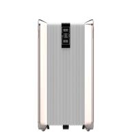 China Healthlead Large Air Purifier With Real Time PM2.5/VOC Numerical Display for sale