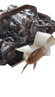 China ISUZU 4JG1 Supercharged Diesel Engine Spare Parts for sale