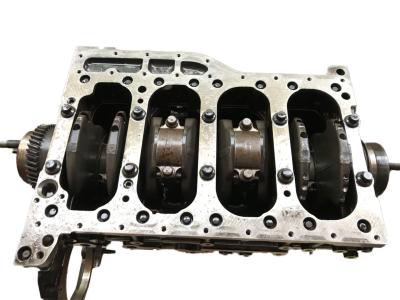 China 8980054434 8-98005443-4 ISUZU 4HK1 Cylinder Engine Block Assembly for sale