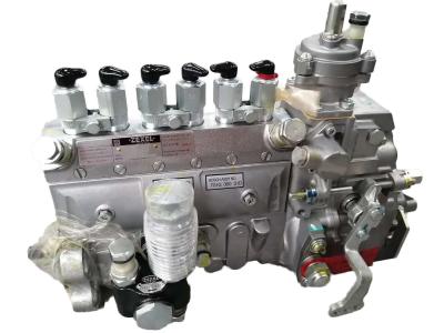 China 6BT5.9 Cummins High Pressure Fuel Pump for sale
