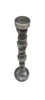 China ISUZU 4BG1 Eccentric Shaft 8-97014573-0 8-97359587-1 Hitachi ZX120 Camshaft for sale