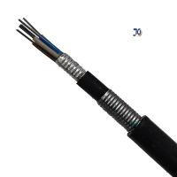 China Anti Rodent Double PE 2-144 Core G652D Direct Buried  Fiber Optic Cable GYTA53 GYTS53 for sale