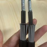 China GYTA33 24 Core Underwater Optical Fiber Cable Armored Submarine Fiber Optical Cable for sale