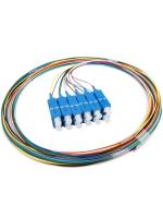 China Optical Fiber Pigtail 12-Core SC UPC 0.9mm Multimode FTTH / FTTB For Data Center for sale