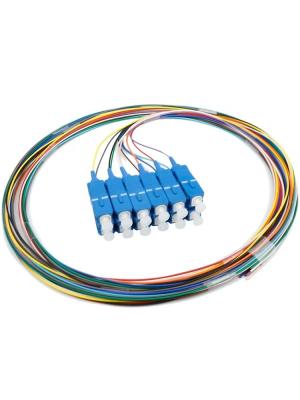 China Optical Fiber Pigtail 12-Core SC UPC 0.9mm Multimode FTTH / FTTB For Data Center for sale