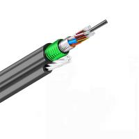 China DJDA Double Jacket Double GYTC8A53 GYTC8S53 GYFTC8S53 Armor Figure 8 Fiber Optic Cable for sale