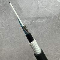 China GYFTY83 Anti-Rodent Armored FRP Strength Member 12 24 48Core Fiber Optic Cable for sale