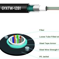 China Outdoor Aerial GYXTW Fiber Optic Cable Factory Direct 2 to 24 Core G652D Steel Armored for sale