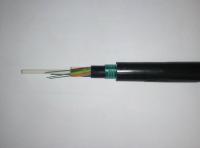 China 96  Core Armour Gyfty53 Frp Strength Communication Cable for Outdoor for sale