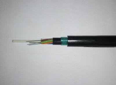 China 96  Core Armour Gyfty53 Frp Strength Communication Cable for Outdoor for sale
