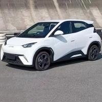 China BYD Seagull 2023 Free Edition 5 Seat Electric Car 620 Nm Torque 160 km/h Max Speed Lithium Battery for sale