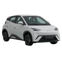 China 2023 BYD Seagull EV 60V Fully Enclosed 4-Wheel Electric Car 160km/h 5-Seater for sale