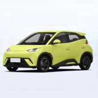 China 2023 BYD Seagull EV 60V Fully Enclosed 4-Wheel Electric Car 160km/h 5-Seater for sale