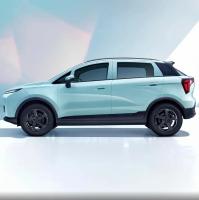 China Geely Geometry E Firefly 2024 301km Electric SUV 5 Door 5 Seat New Energy Vehicle for sale