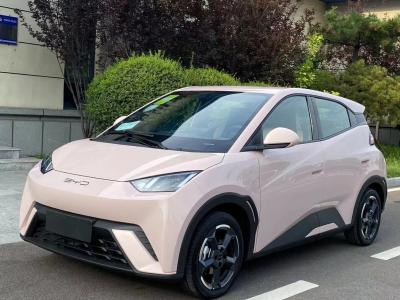China BYD Seagull 5-Seat Electric Mini SUV 600km NEDC Range 0.5h Fast Charging Front Wheel Drive for sale
