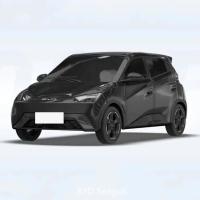 China BYD Seagull 2023 Pure Electric Car 305km 405km Range 55kW 135Nm LFP Battery Mini EV for sale