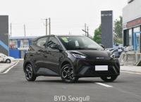 China BYD Seagull 2023 Electric Mini EV 305km Range 5 Door 4 Seat LFP Battery 55kW for sale