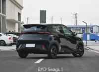 China BYD Seagull 2023 Electric Mini EV 305km Range 5 Door 4 Seat LFP Battery 55kW for sale