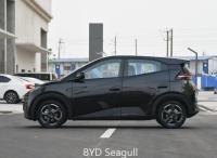 China BYD Seagull 2023 Flying Edition 405km Range 40kW Fast Charge Pure Electric Vehicle for sale