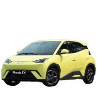 China BYD Seagull Electric Car 5 Seats 600km NEDC Range Lithium Iron Phosphate Battery EV for sale