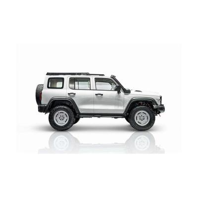 China 2024 Tank 300 2.0T Conqueror SUV 175 km/h Off-Road Vehicle 4WD for sale
