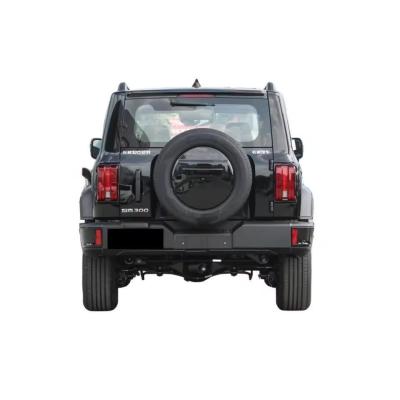 China 2024 Tank 300 2.0T 4WD Off-Road SUV Third Anniversary Limited Edition 227HP for sale