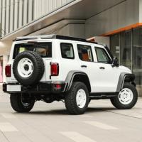 China 2023 Tank 300 2.0T Iron Rider 02 SUV Gasoline 227HP 4WD Off-Road Vehicle for sale