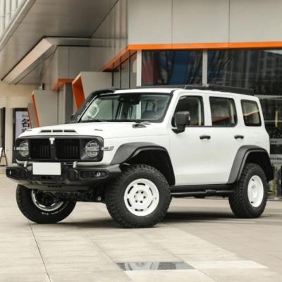 China Tank 300 2024 2.0T Iron Rider 02 AWD SUV 227HP Gasoline Off-Road Vehicle for sale