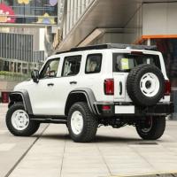 China 2023 Tank 300 2.0T Gasoline AWD SUV 5 Door 5 Seat 227 HP 387 Nm Off Road Vehicle for sale