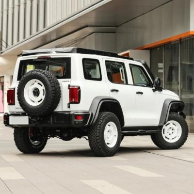 China Great Wall Tank 300 2023 2.0T Off-Road SUV Gasoline 227HP Automatic 4x4 for sale