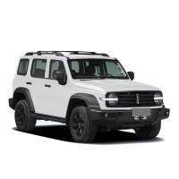 China Great Wall Tank 300 SUV 2.0T 227PS Gasoline Off-Road Vehicle Custom Model for sale
