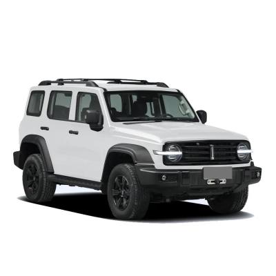 China 2023 Tank 300 Iron SUV 2.0T AWD Gasoline 227 HP LED Turbo Off-Road Vehicle for sale