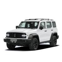 China Great Wall Tank 300 2023 2.0T AWD SUV 227HP Automatic Gasoline Off-Road Vehicle for sale