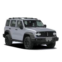 China Great Wall Tank 300 2023 2.0T AWD SUV 227HP Automatic Gasoline Off-Road Vehicle for sale