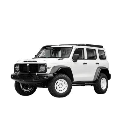 China Tank 300 2024 Model 2.0T Gasoline SUV Left-Steering 227 HP 8-Speed Automatic for sale